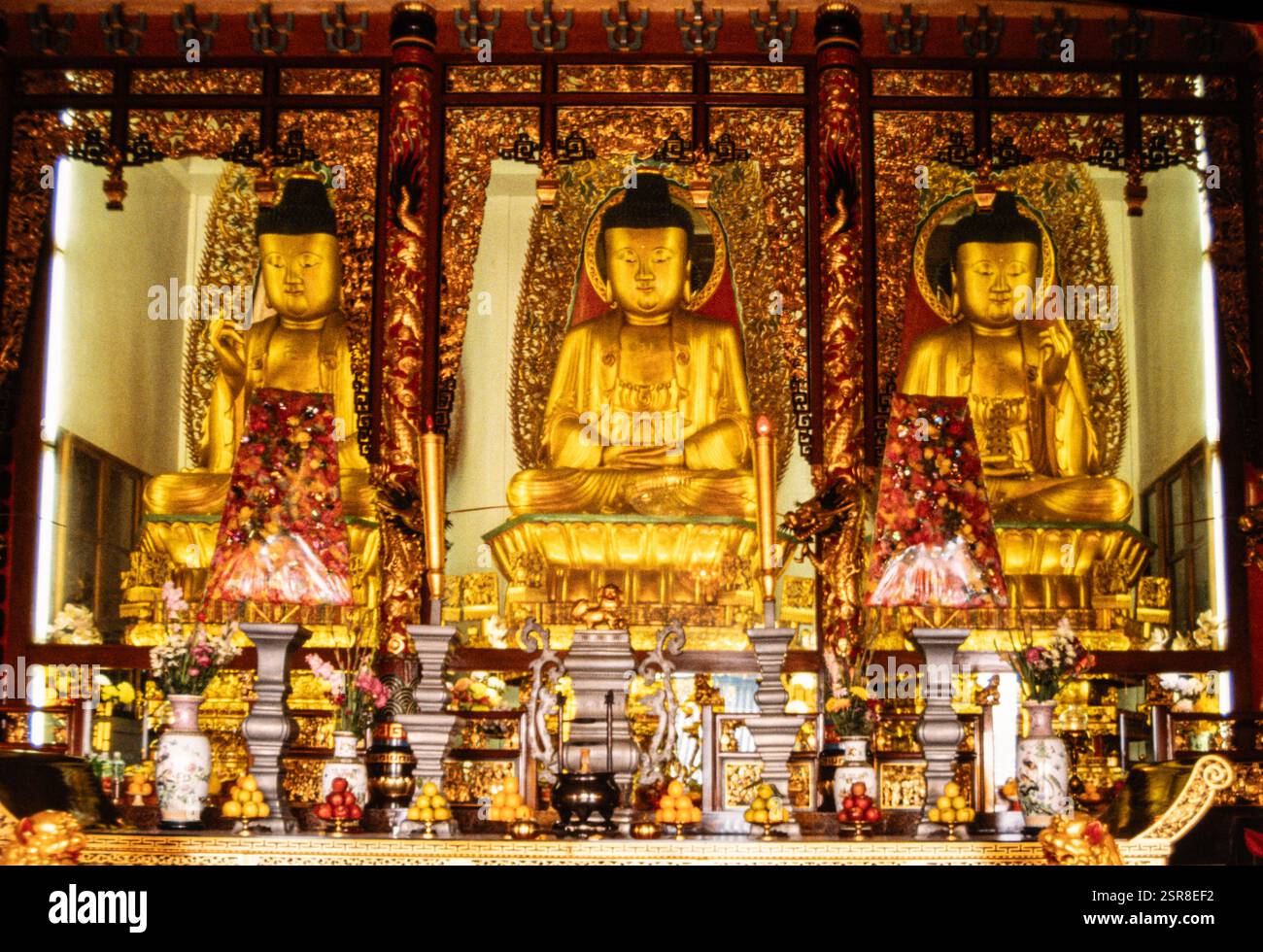 Known as the bamboo forest monastery hi-res stock photography and ...