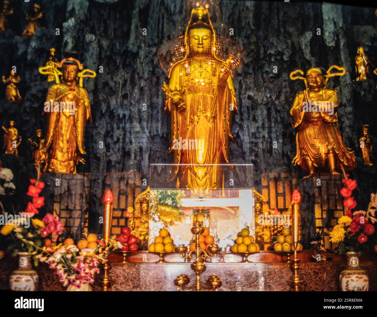 Chuk Lam Shim Yuen, a Buddhist Monastery located in the New Territories ...