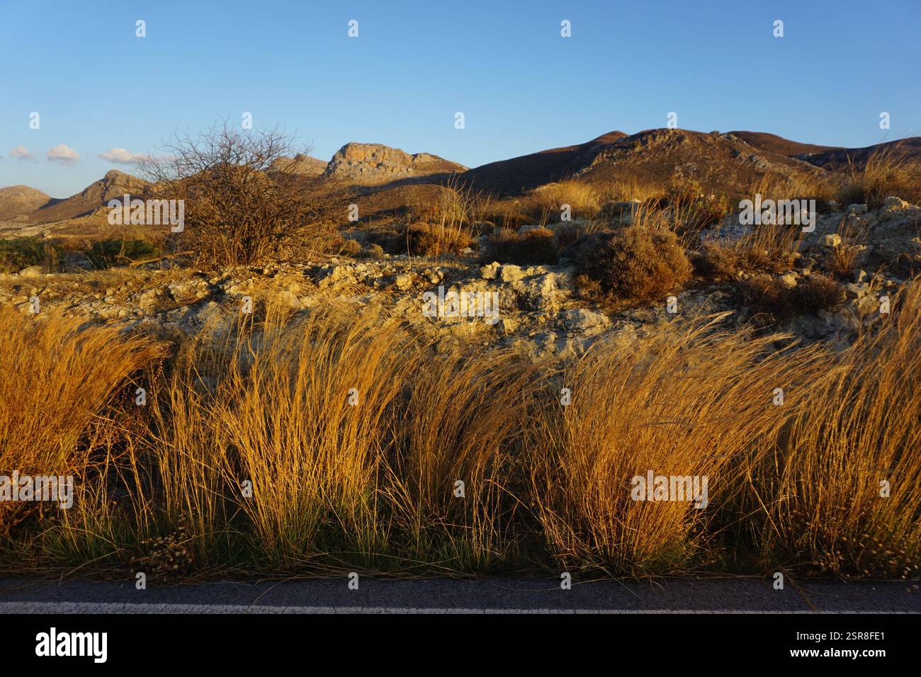 Natural landscape of Crete with a view from the road with golden earth ...