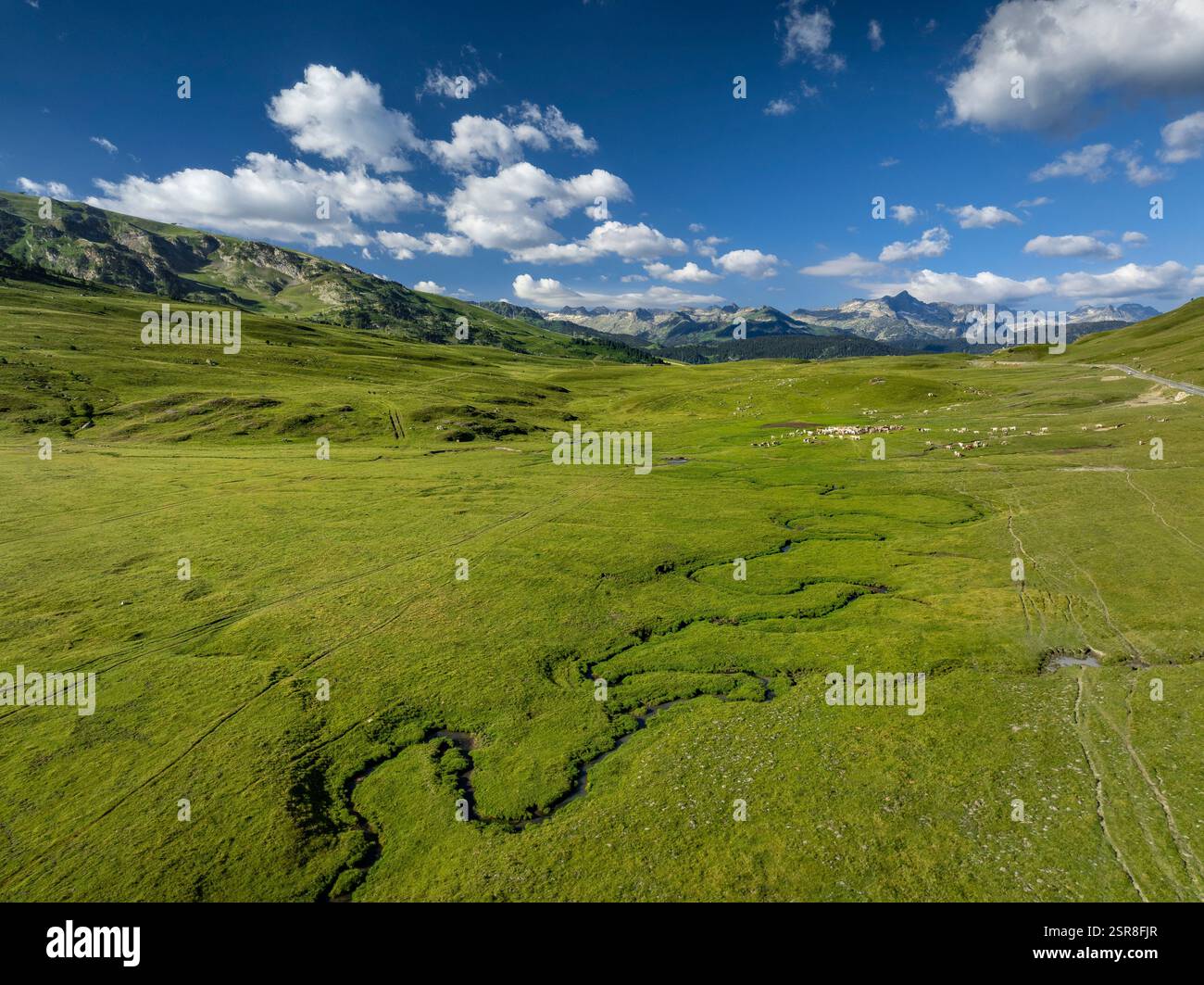 Aerial view of the meanders of the Noguera Pallaresa river, in the Pla ...