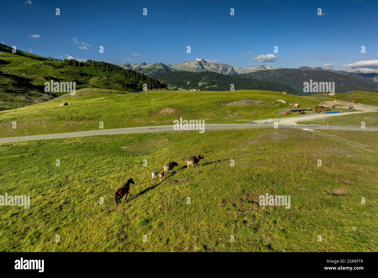 Aerial view of the Pla de Beret plain on a summer morning (Aran Valley ...