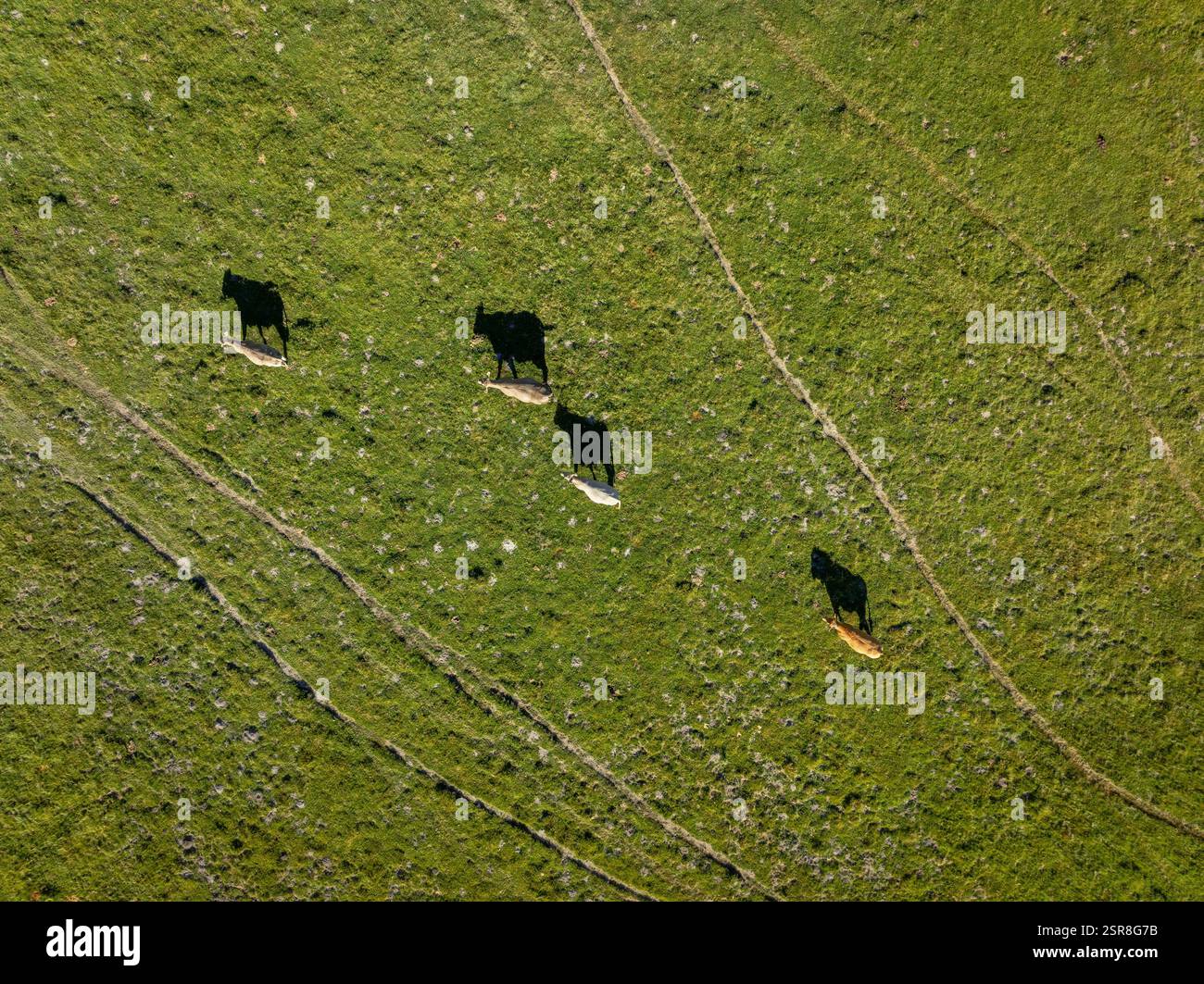 Aerial view of the Pla de Beret plain on a summer morning (Aran Valley ...