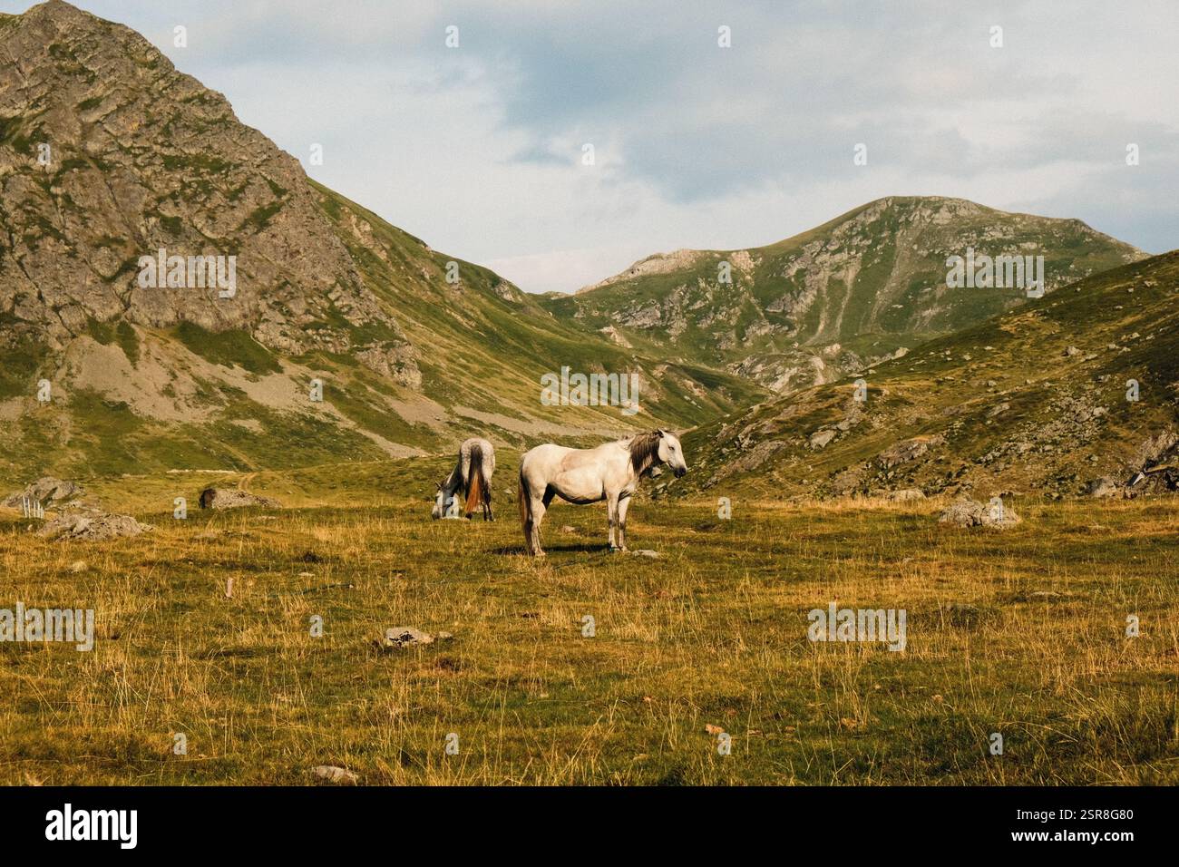Peaks of The Balkans trail. Albanian nature, amazing landscape in ...