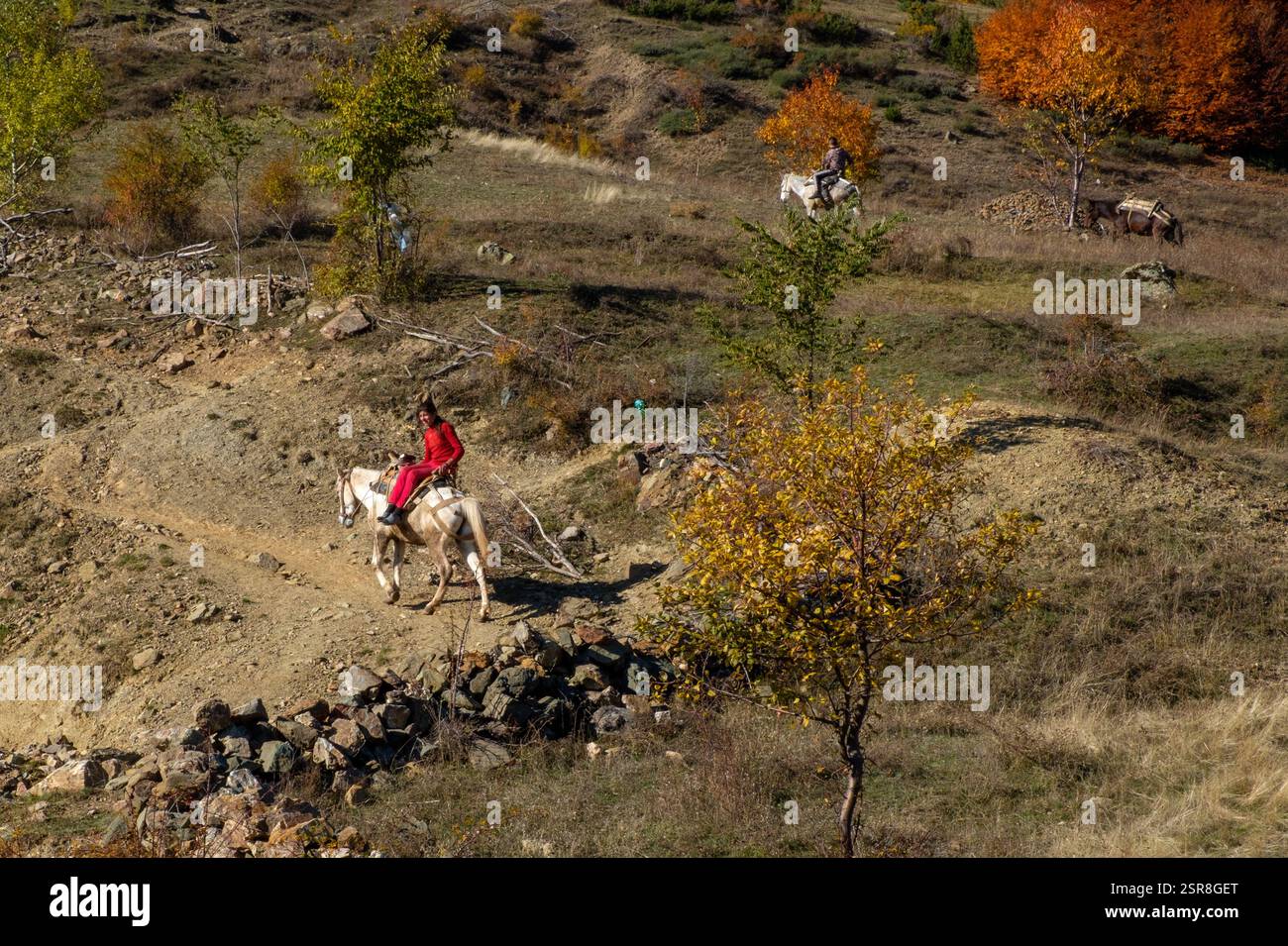 Peaks of The Balkans trail. Albanian nature, amazing landscape in ...