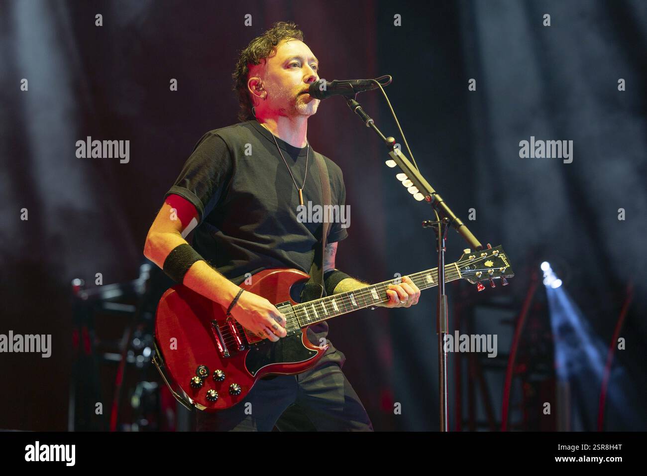Tim McIlrath, singer, guitarist, Rise Against, indie rock band, USA ...