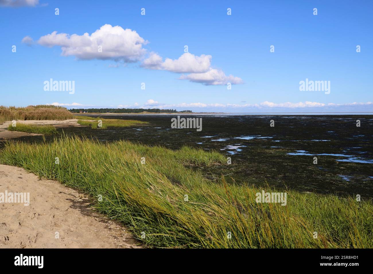 Nationalpark vadehavet hi-res stock photography and images - Alamy
