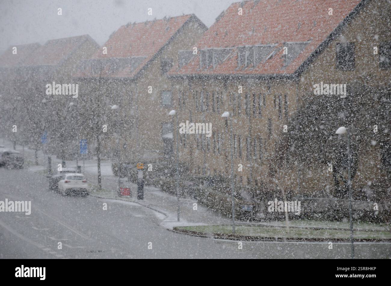Copenhagen/ DenmarK/15 FEBRUARY 2025/ danish weather snow fall in ...