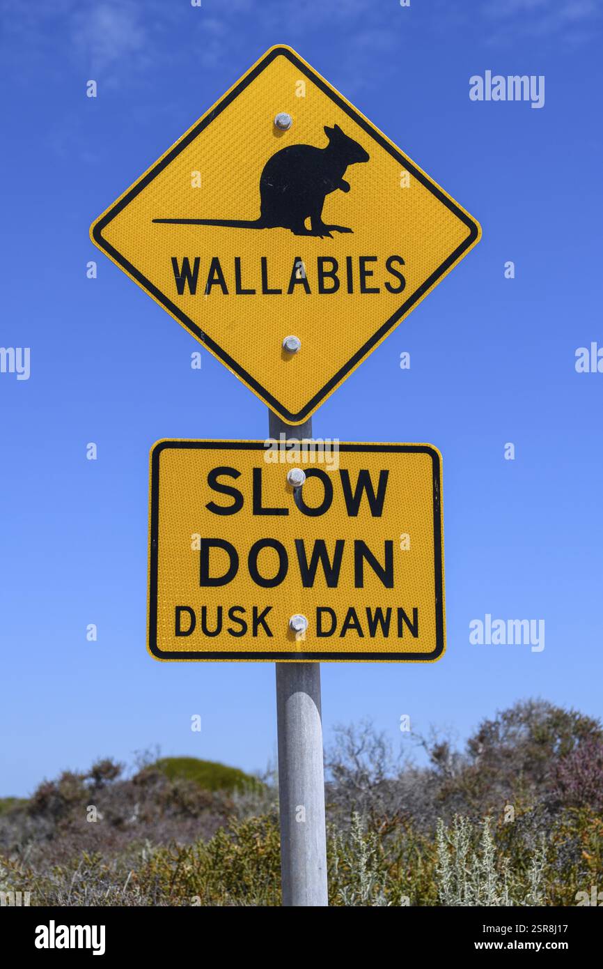 Beware of wallabies sign, Dirk Hartog Island National Park, named after ...