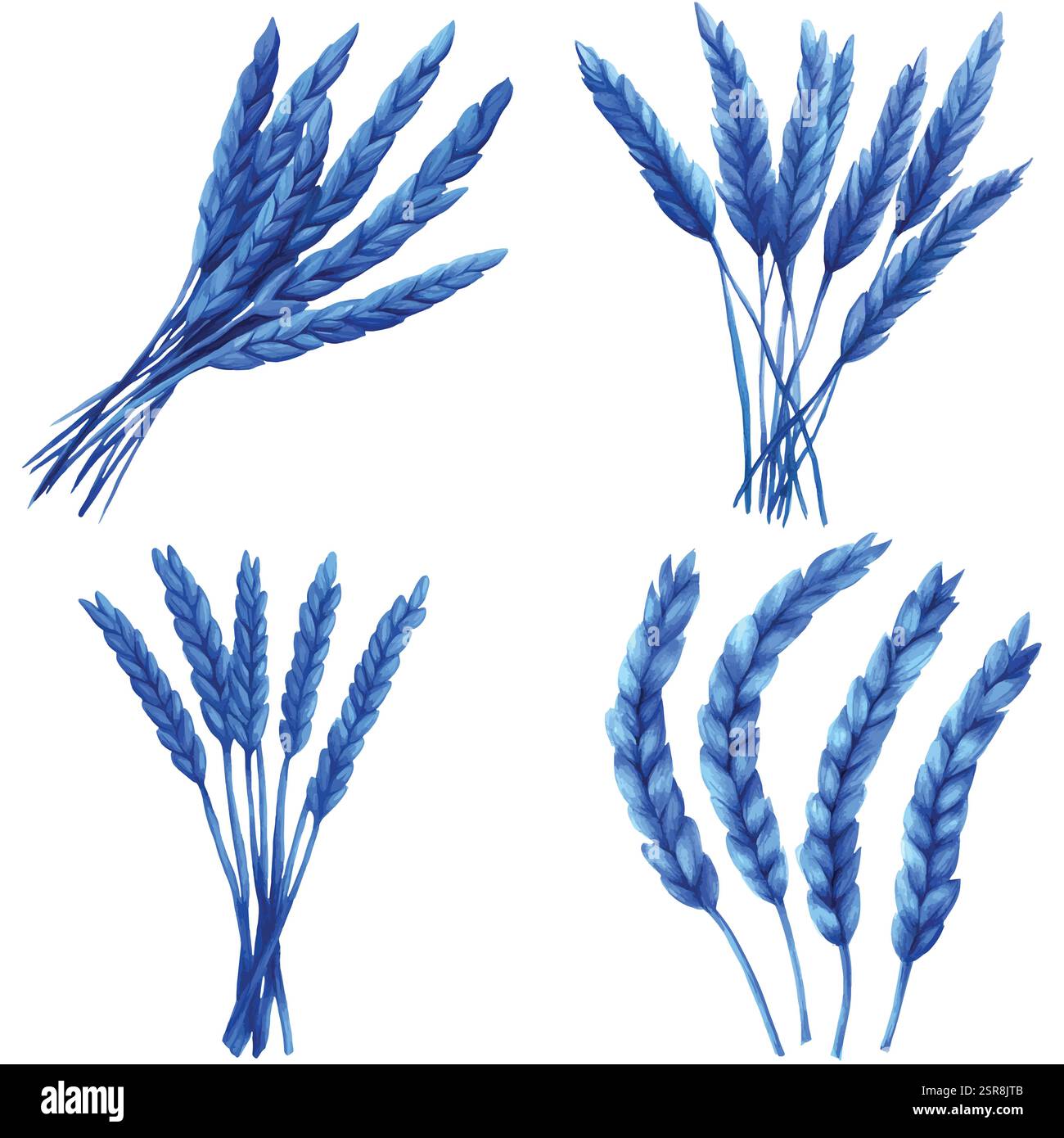 A handdrawn watercolor illustration of Barley stalks hand-drawn ...