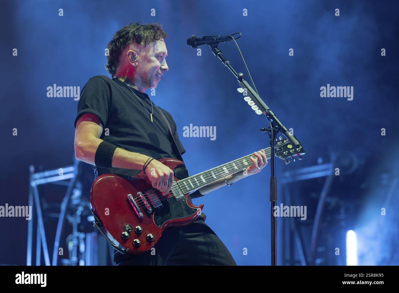 Tim McIlrath, singer, guitarist, Rise Against, indie rock band, USA ...