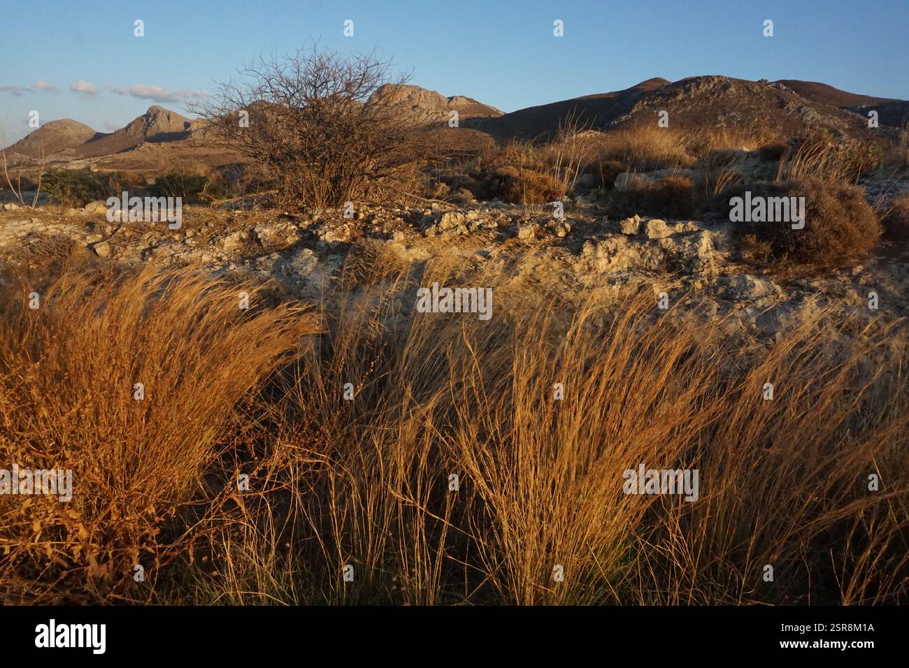 Natural landscape of Crete with a view from the road with golden earth ...
