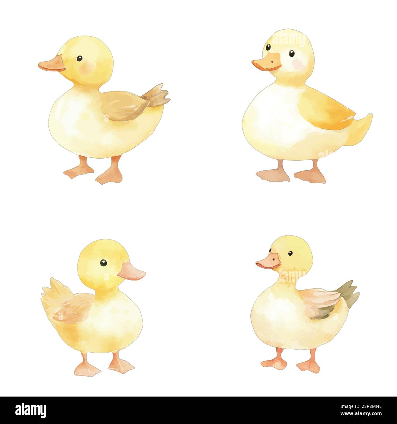 A handdrawn watercolor illustration of Duck Watercolor Illustration for ...