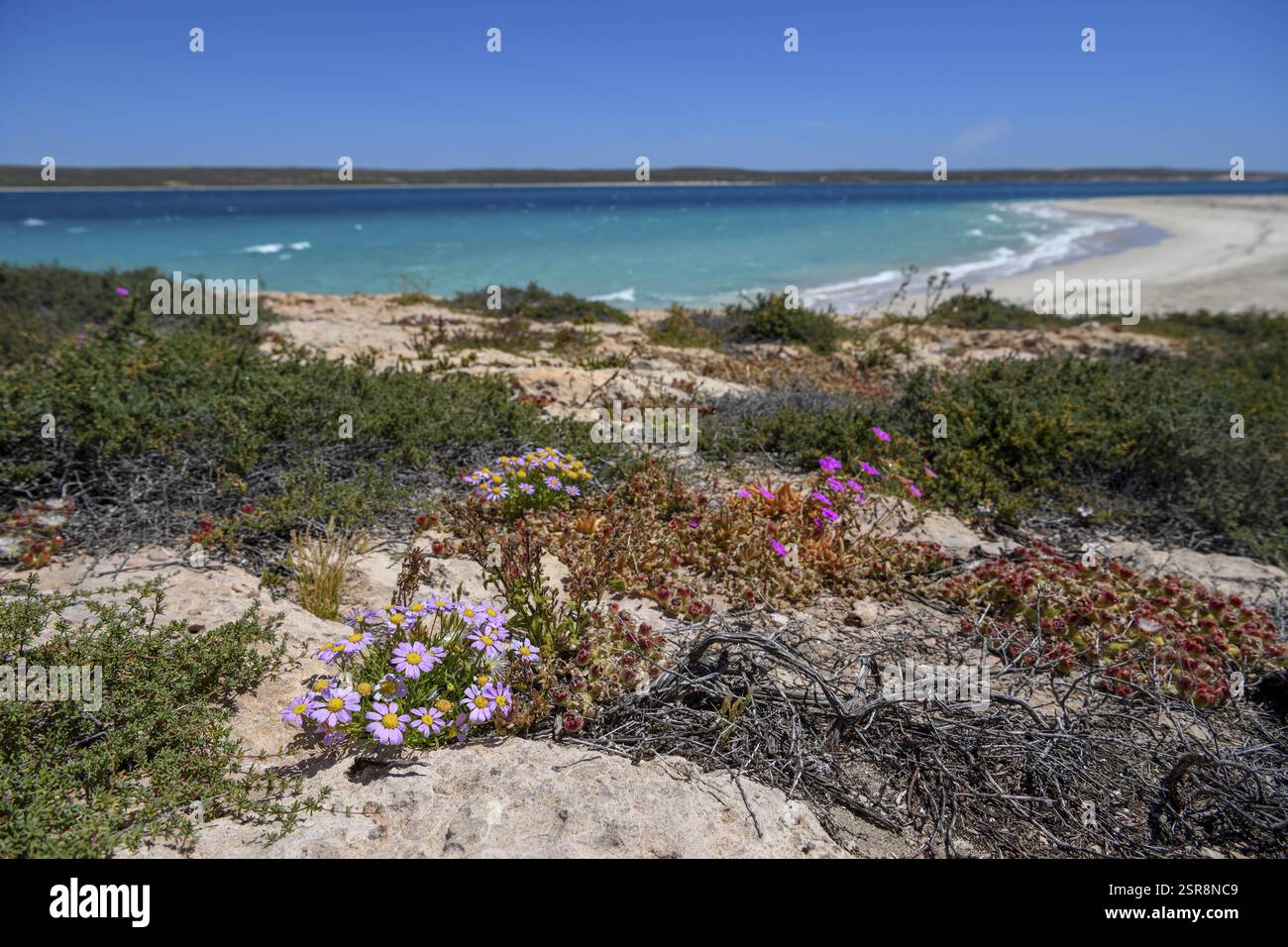 Landscape on Dirk Hartog Island, Dirk Hartog Island National Park ...