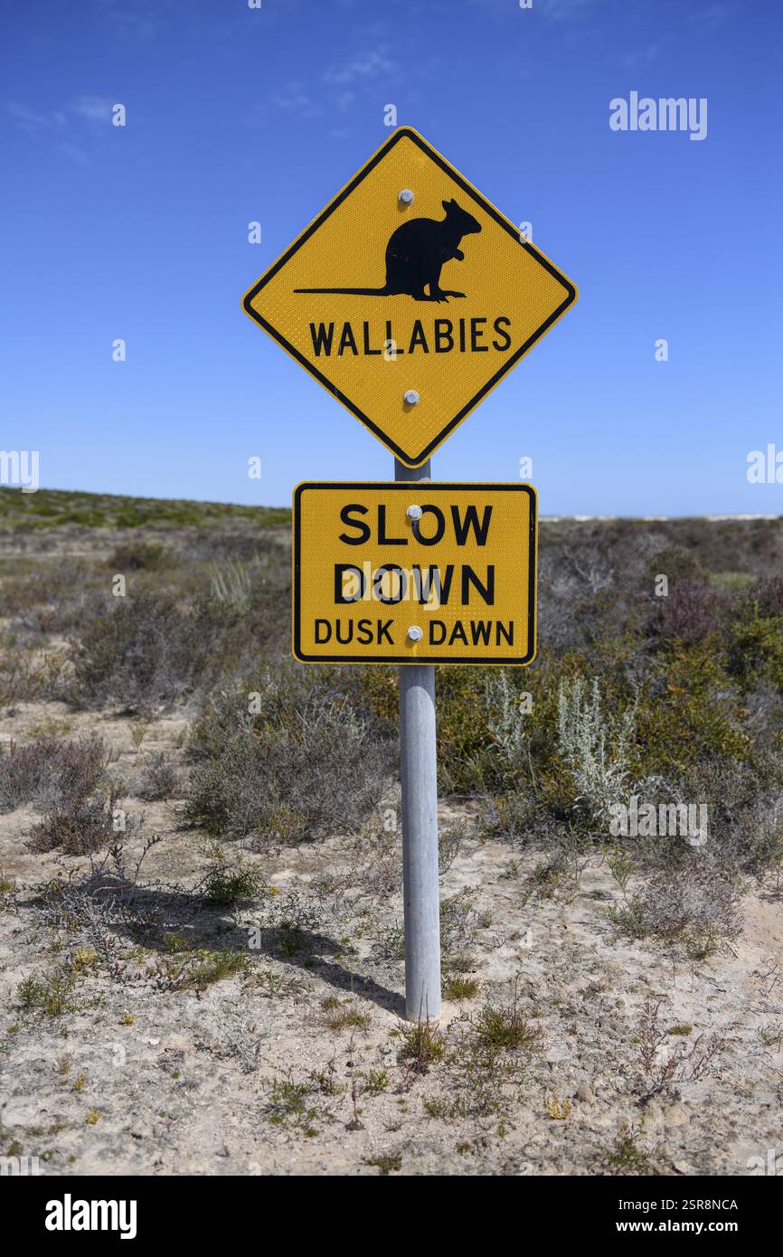 Beware of wallabies sign, Dirk Hartog Island National Park, named after ...
