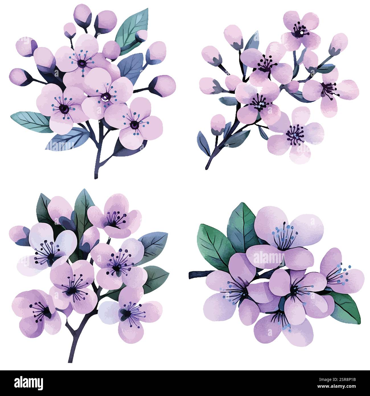 A handdrawn watercolor illustration of Watercolor Hand-Drawn Cherry ...