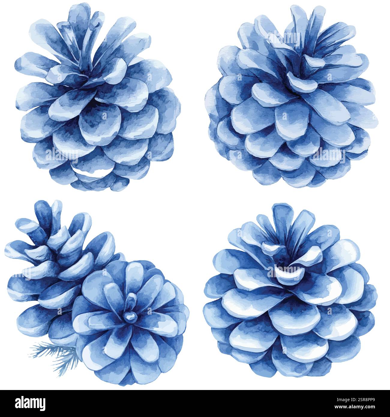 A handdrawn watercolor illustration of Pine cone hand drawn set ...