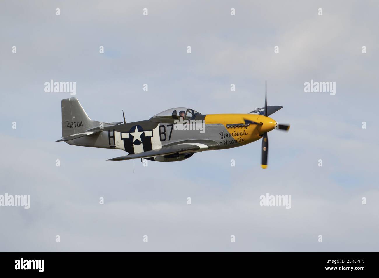 North American Aviation P-51 Mustang warbird aircraft in USAF United ...