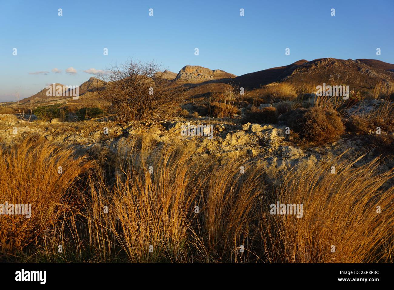 Natural landscape of Crete with a view from the road with golden earth ...
