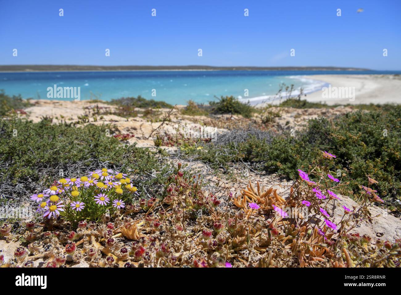 Landscape on Dirk Hartog Island, Dirk Hartog Island National Park ...