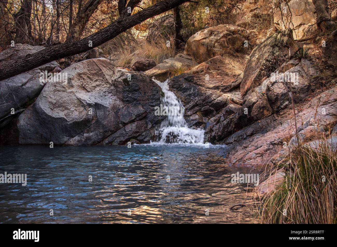A waterfall flows in January in Gardner Canyon, Santa Rita Mountains ...