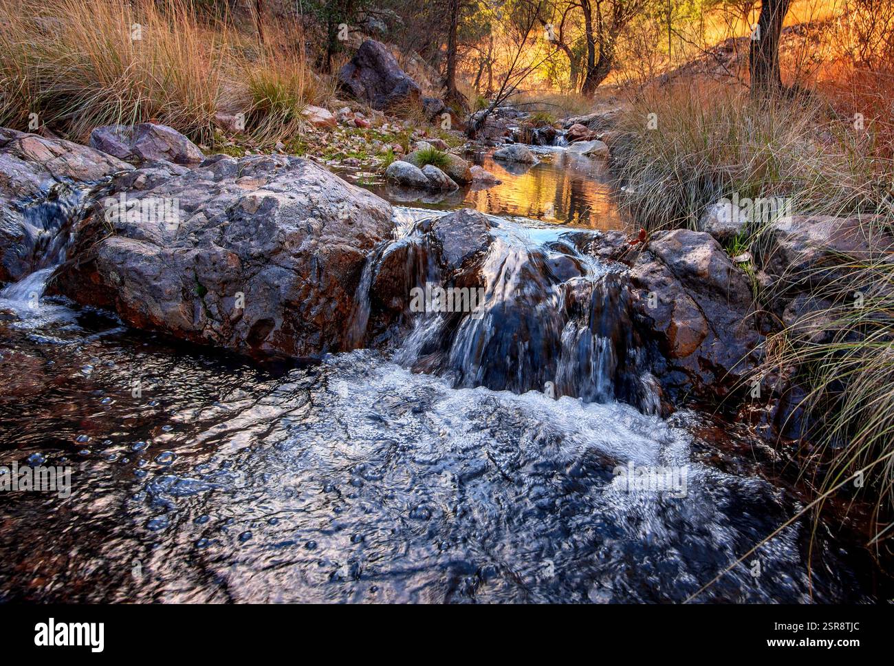 Seasonal water flows in Gardner Canyon, Santa Rita Mountains, Coronado ...