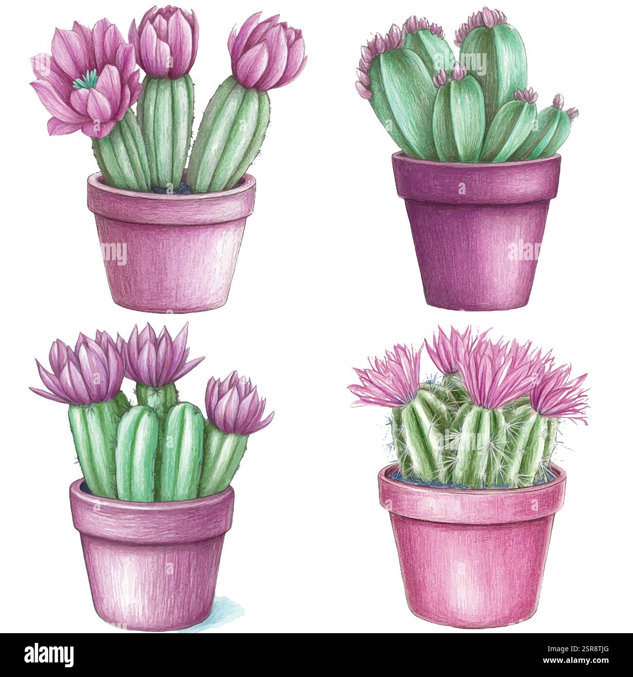 A handdrawn watercolor illustration of Cactus Pot Watercolor Set: Hand ...