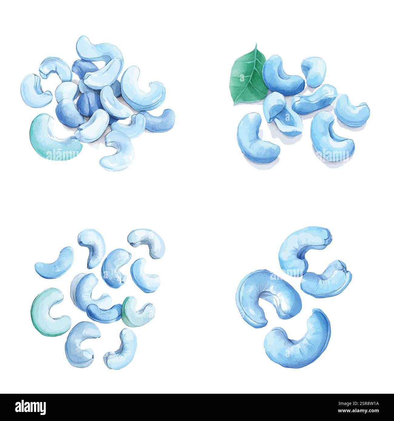 Cashew watercolor Stock Vector Images - Alamy