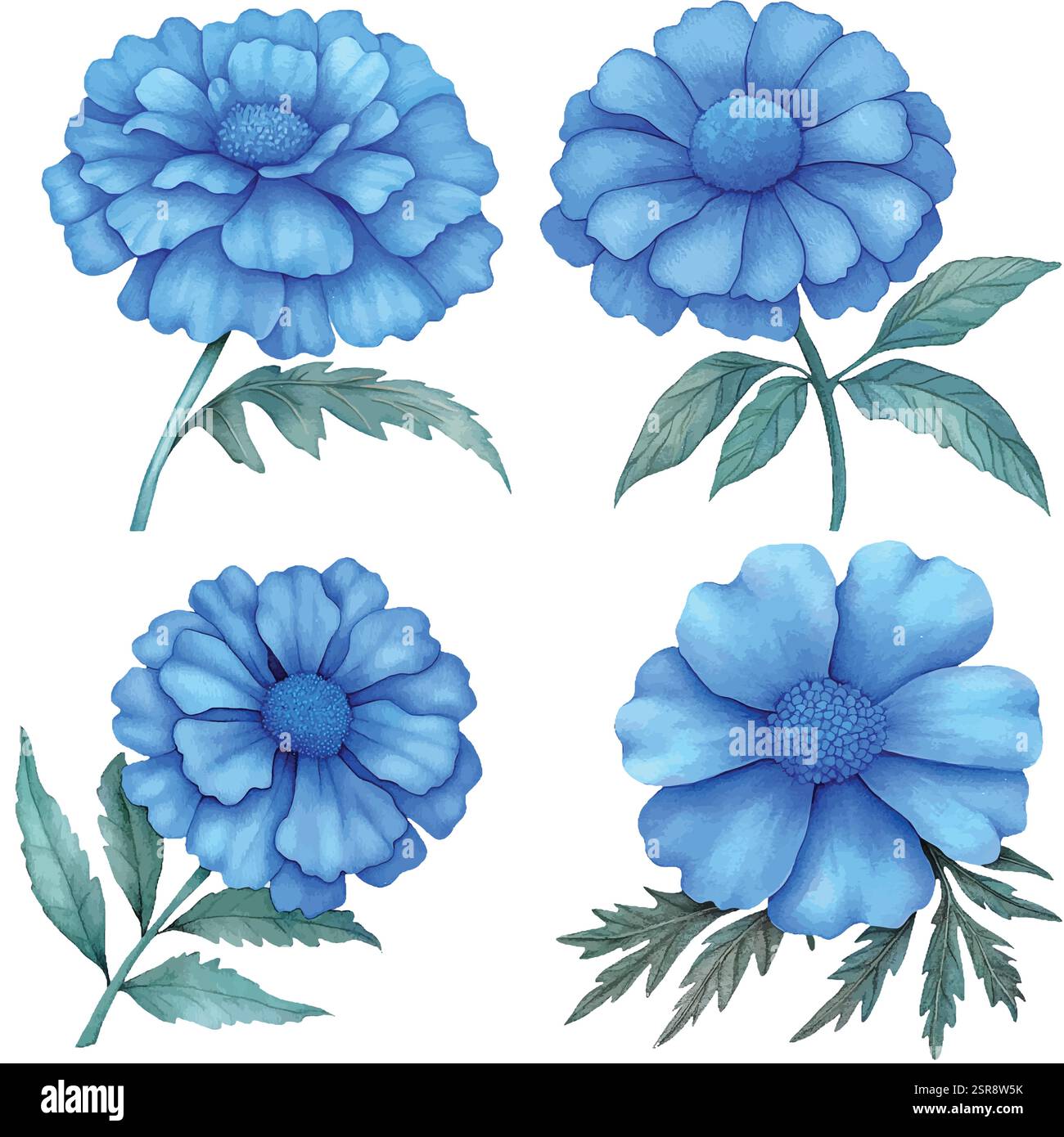 Stunning yellow plant Stock Vector Images - Alamy