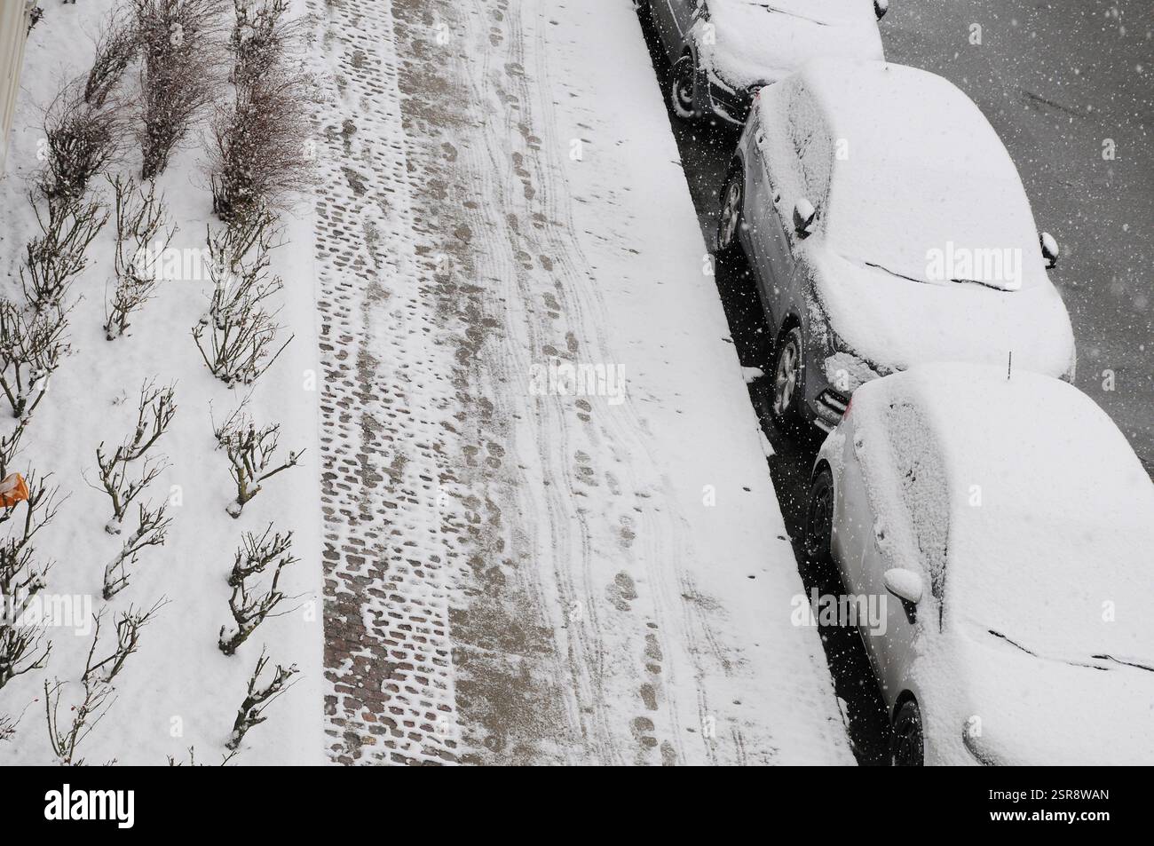 Copenhagen/ DenmarK/15 FEBRUARY 2025/ danish weather snow fall in ...