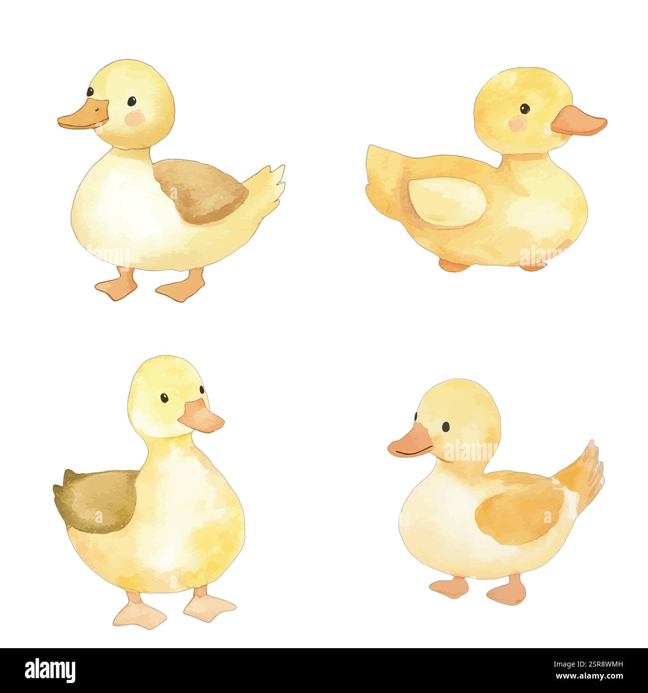 A handdrawn watercolor illustration of Duck Watercolor Illustration for ...