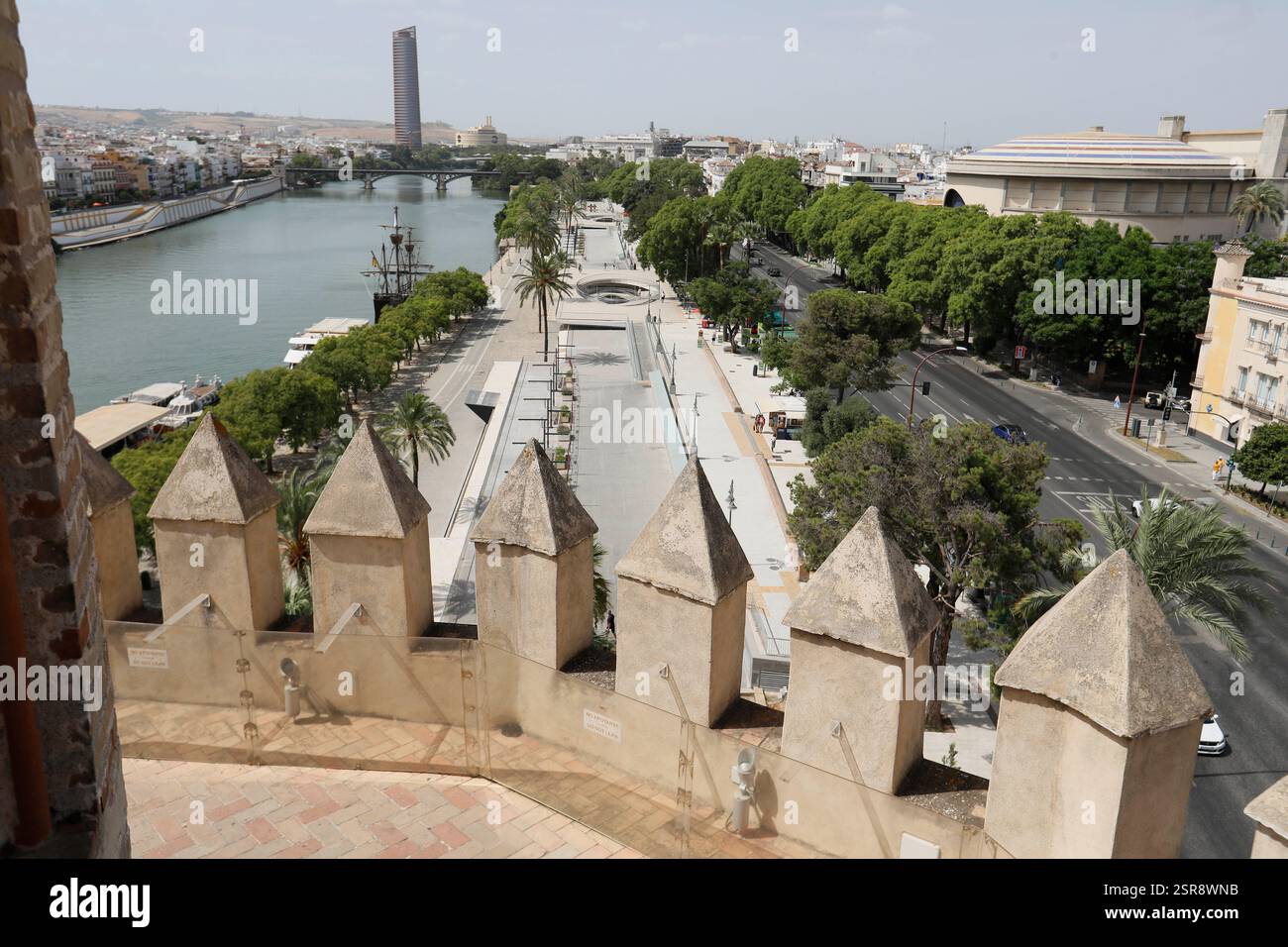 Seville, 08/30/2024. Report on groves and areas without shade. Paseo ...