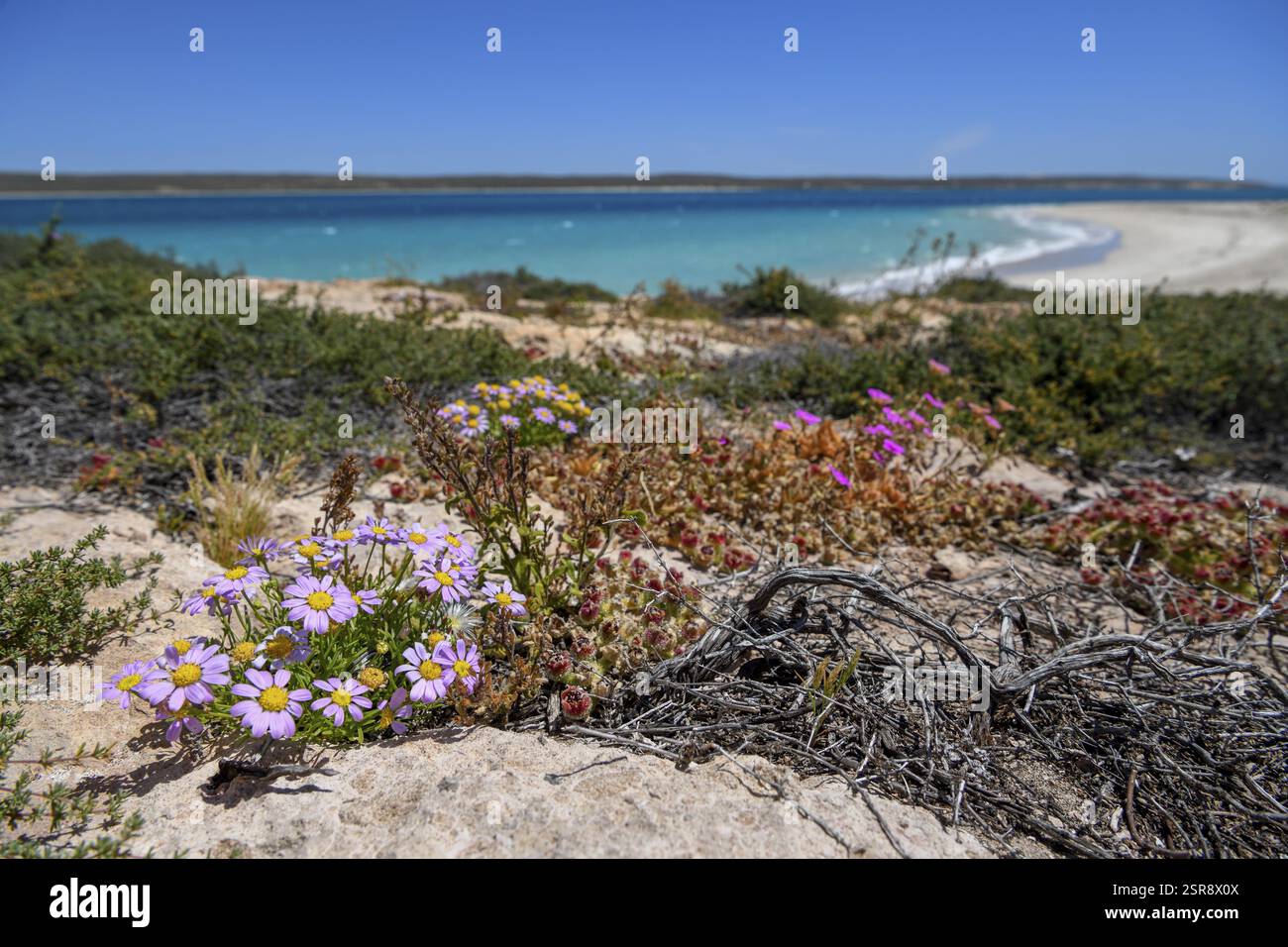 Landscape on Dirk Hartog Island, Dirk Hartog Island National Park ...