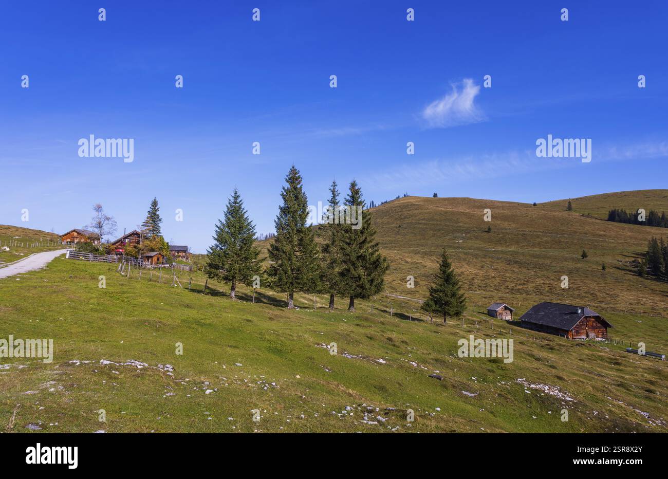 Alpine huts and alpine landscape with a view of the Windkogel, Postalm ...