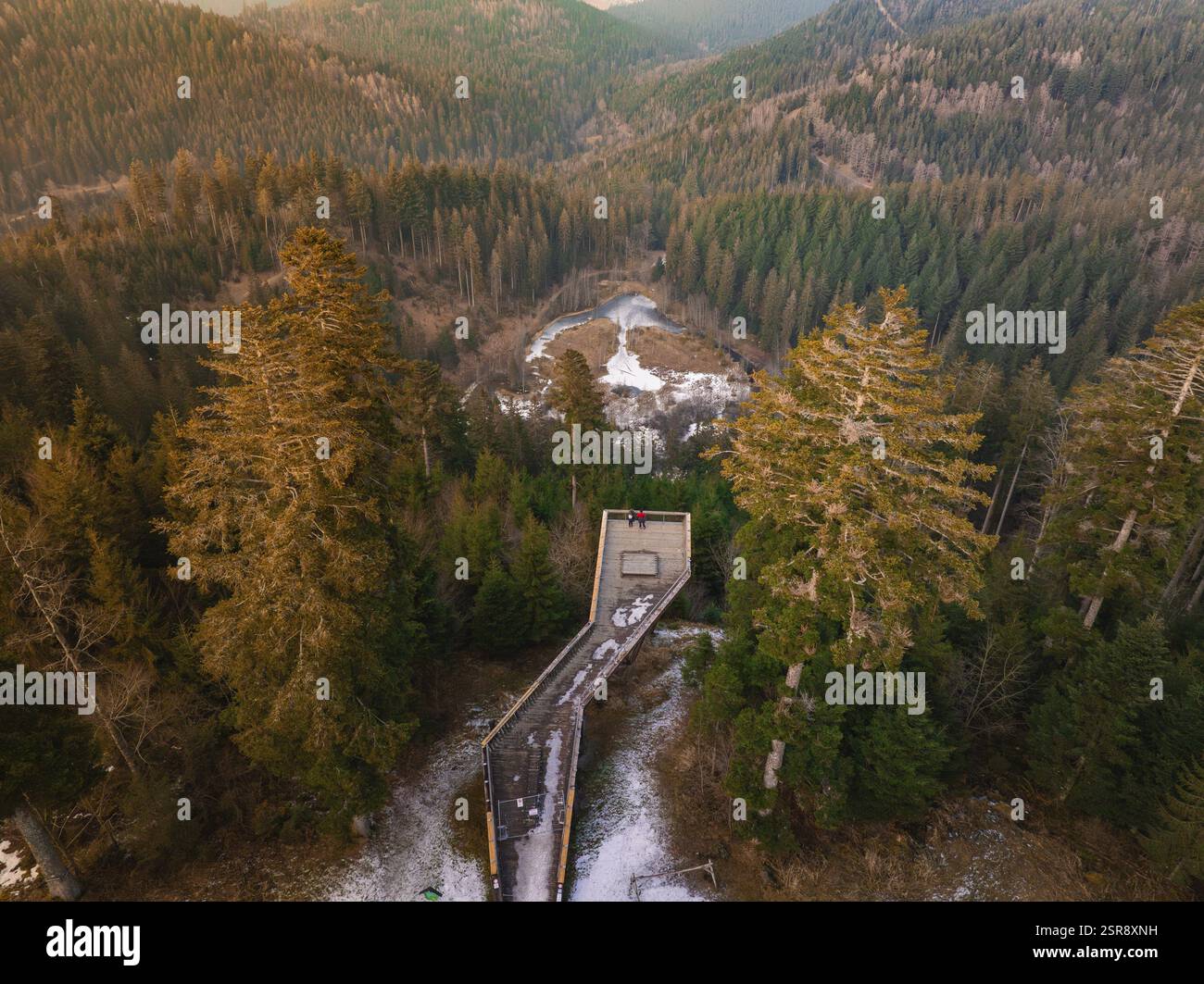 View from wooden footbridge in winter over snow-covered forest ...