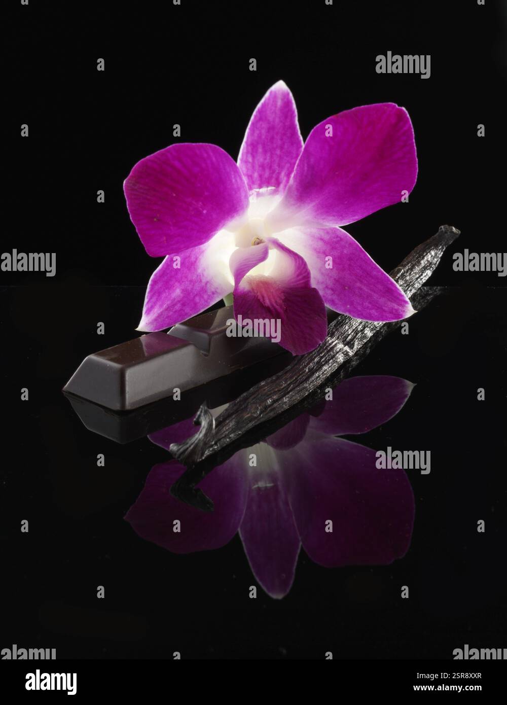 Pink orchid blossom, chocolate bar, vanilla pod against a black ...