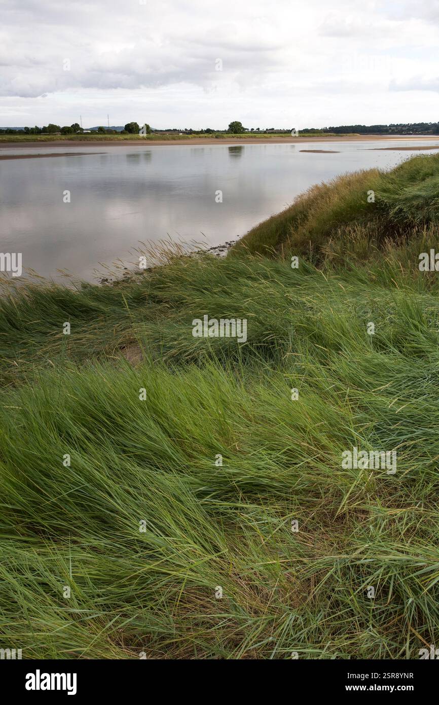 River Severn at Newnham, Gloucestershire Stock Photo - Alamy
