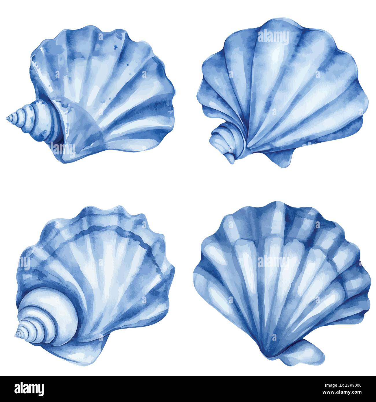 A handdrawn watercolor illustration of Hand-drawn Shell Collection that ...