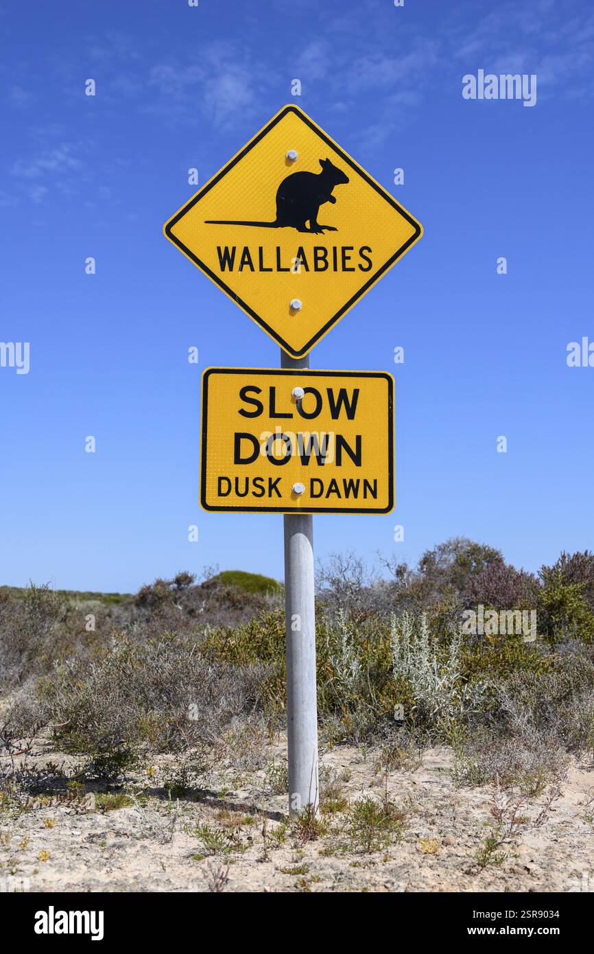 Beware of wallabies sign, Dirk Hartog Island National Park, named after ...
