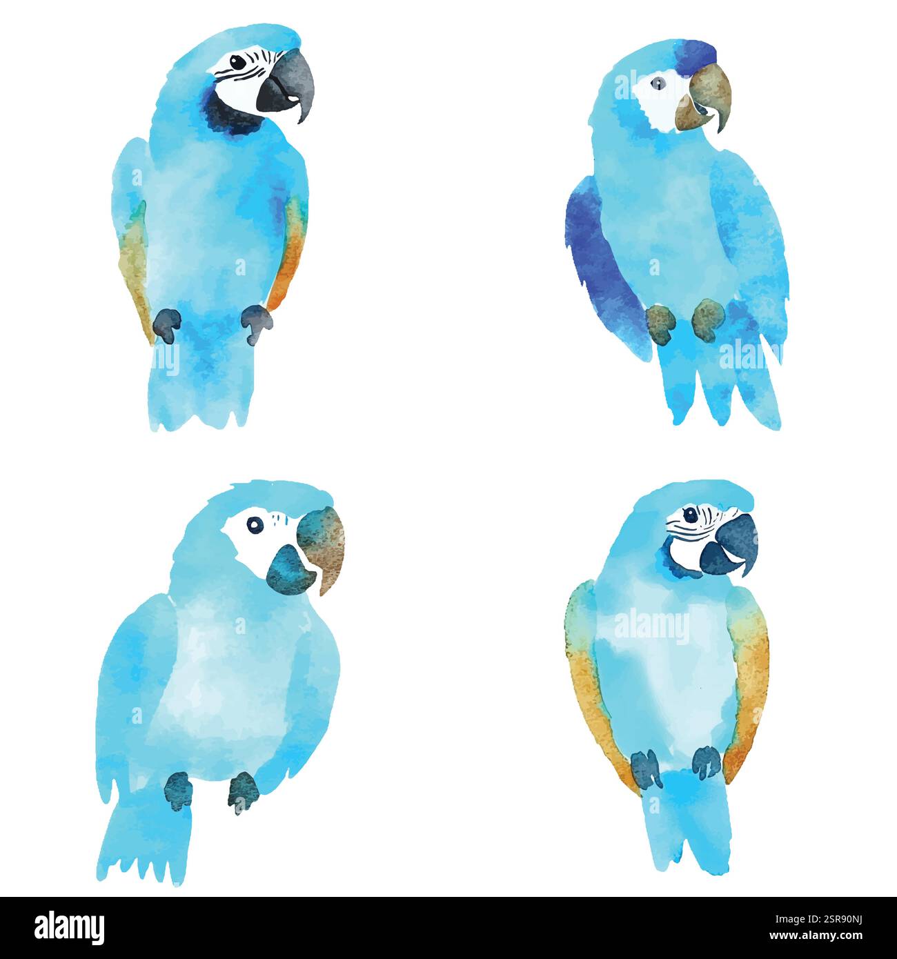A handdrawn watercolor illustration of Macaw Hand-Drawn Illustration ...