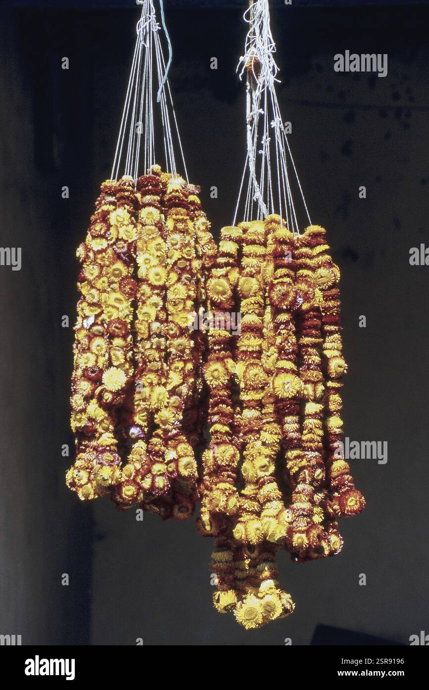 Flower garlands for sale, Ganesh Temple, Theur, Ashtavinayak, Pune ...
