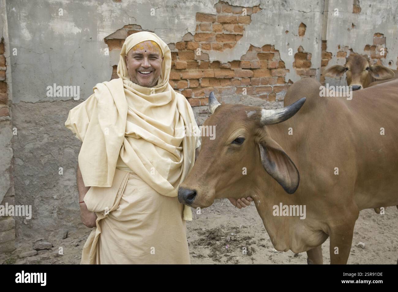 Swami shri gopal sharan devacharya ji maharaj with cow, uttar pradesh ...