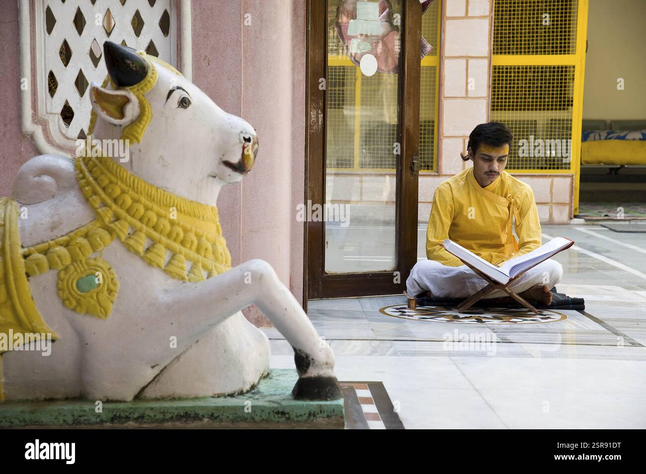 Man reading holy book in front of hanuman temple, mathura, uttar ...