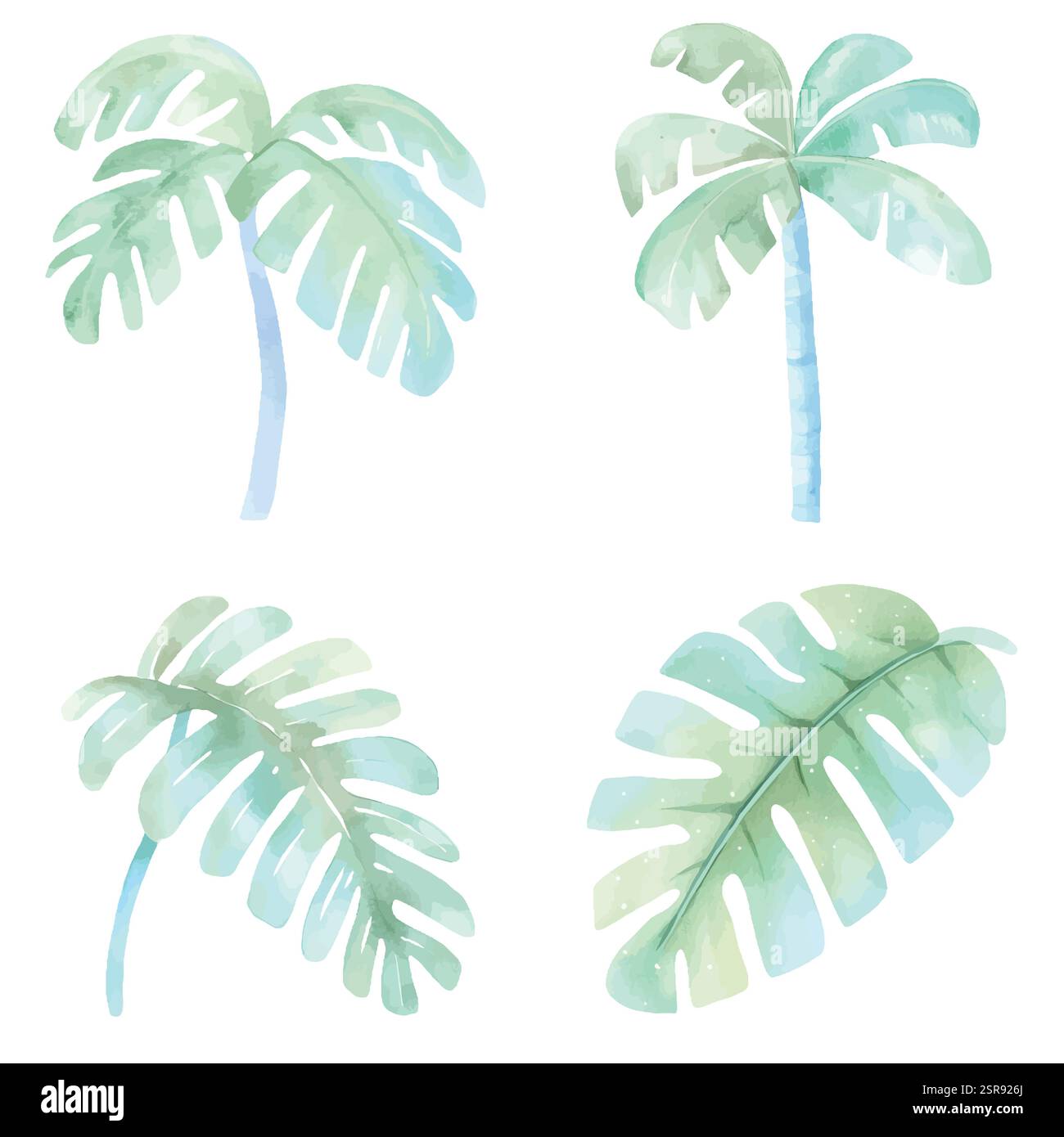 A handdrawn watercolor illustration of Palm frond hand-drawn ...