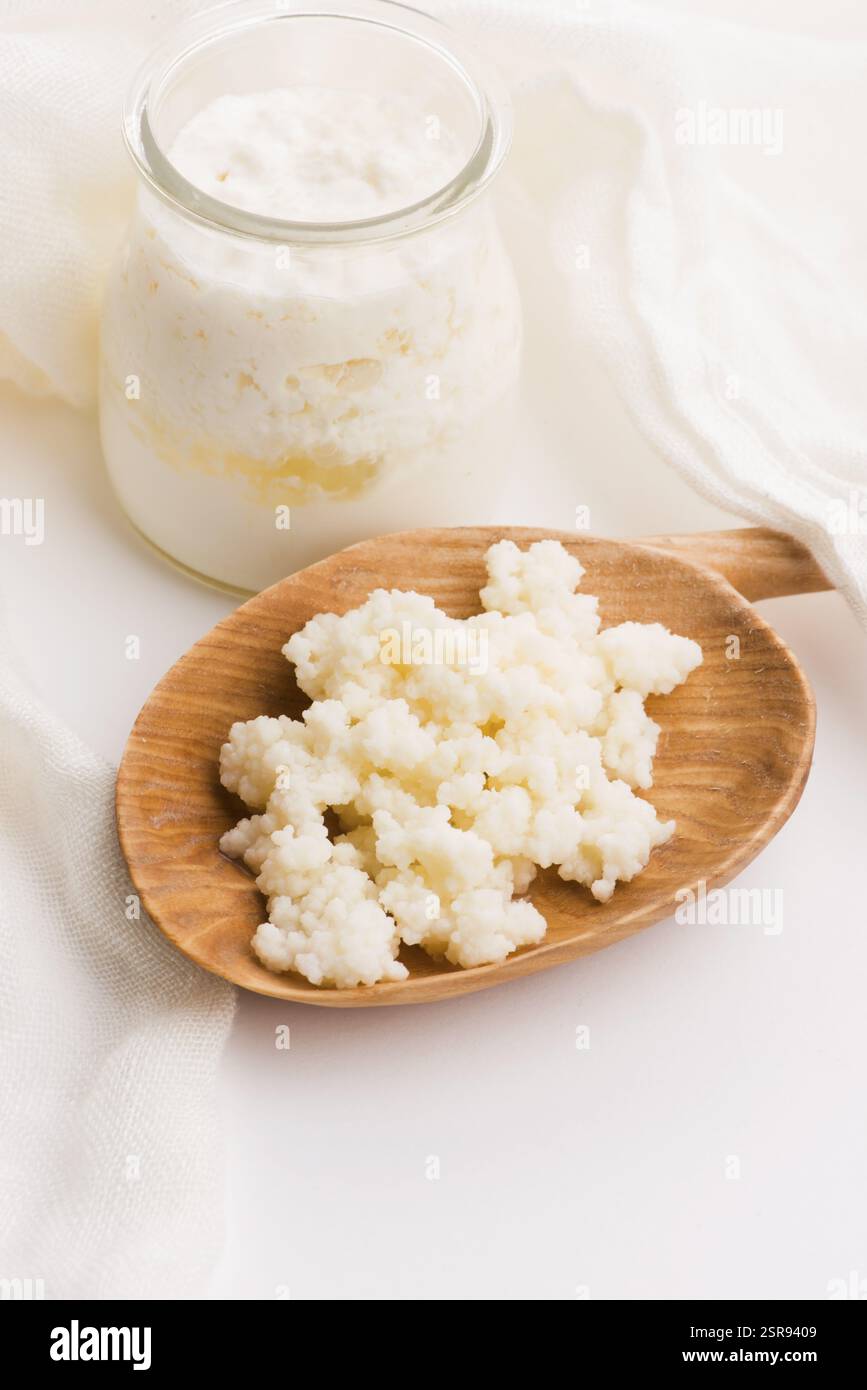 Milk kefir grains in spoon. Yeast bacterial fermentation starter Stock ...