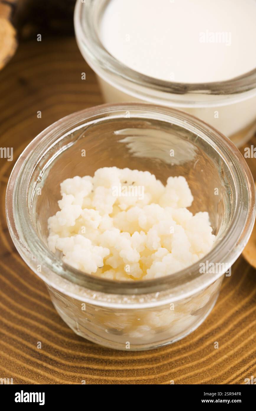 Organic probiotic milk kefir grains Stock Photo - Alamy