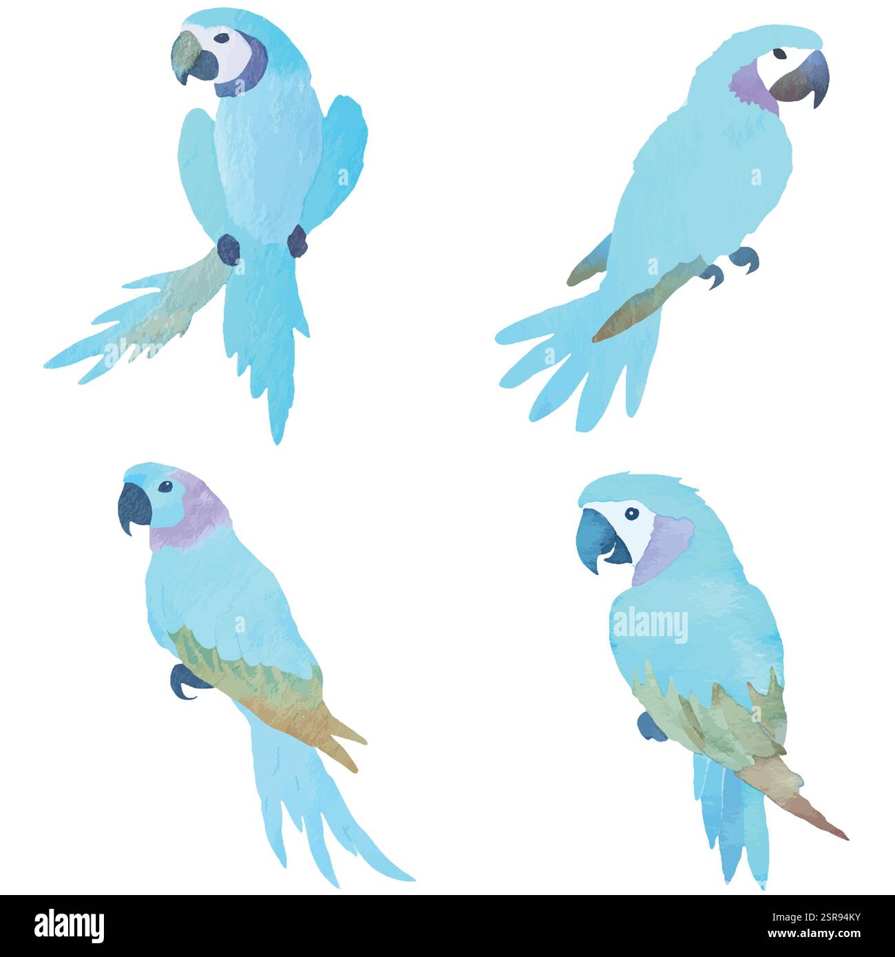 A handdrawn watercolor illustration of Macaw hand-drawn illustration ...