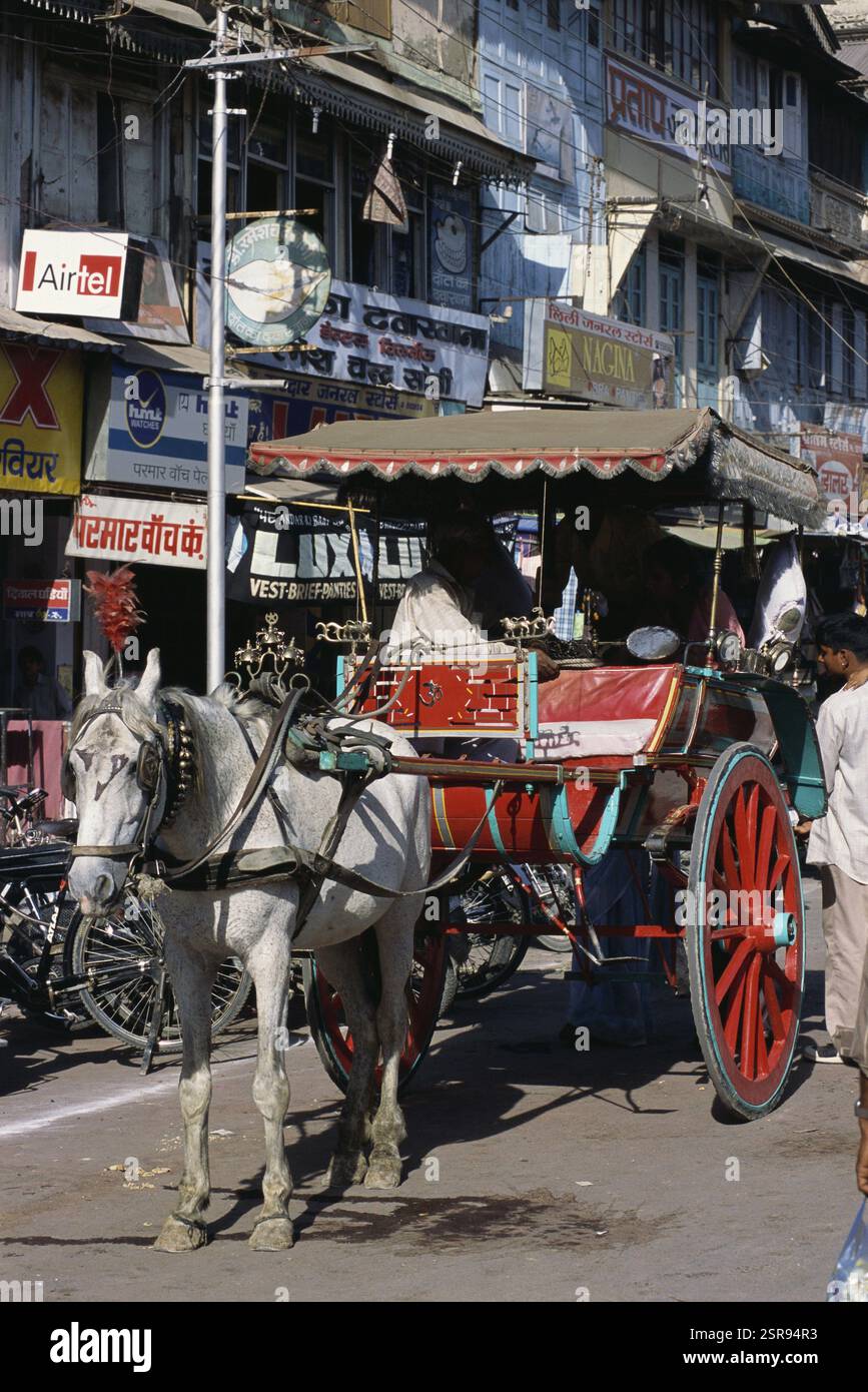 Horse Cart or tonga, Ujjain, Madhya Pradesh, India, Asia Stock Photo ...