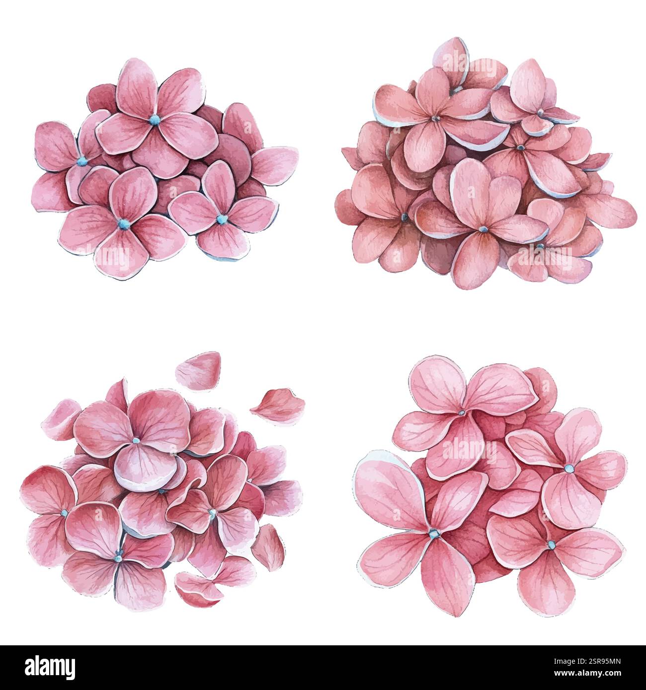 A handdrawn watercolor illustration of Watercolor set of hand-drawn ...