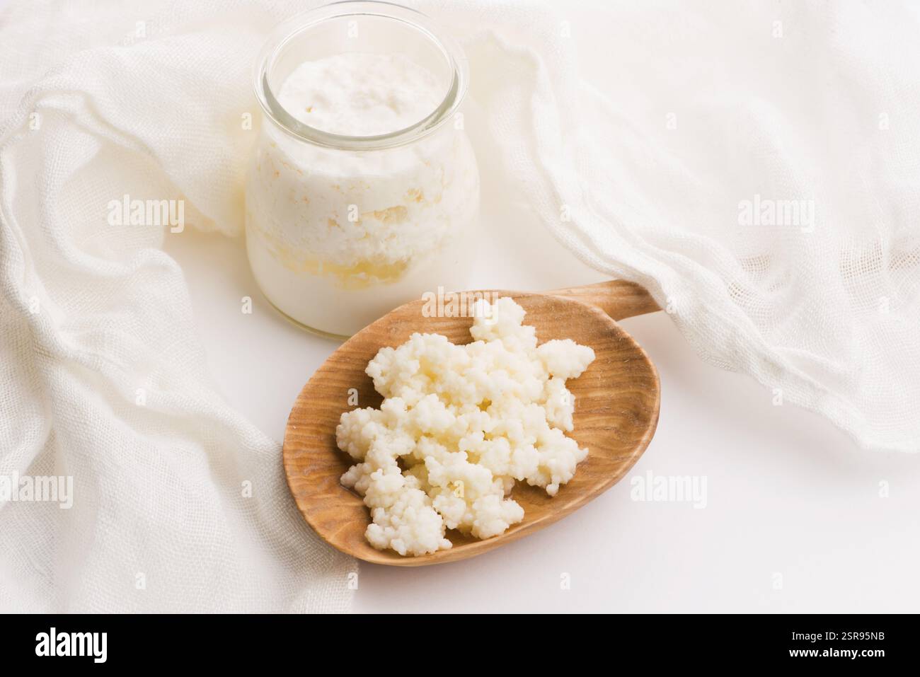 Milk kefir grains in spoon. Yeast bacterial fermentation starter Stock ...