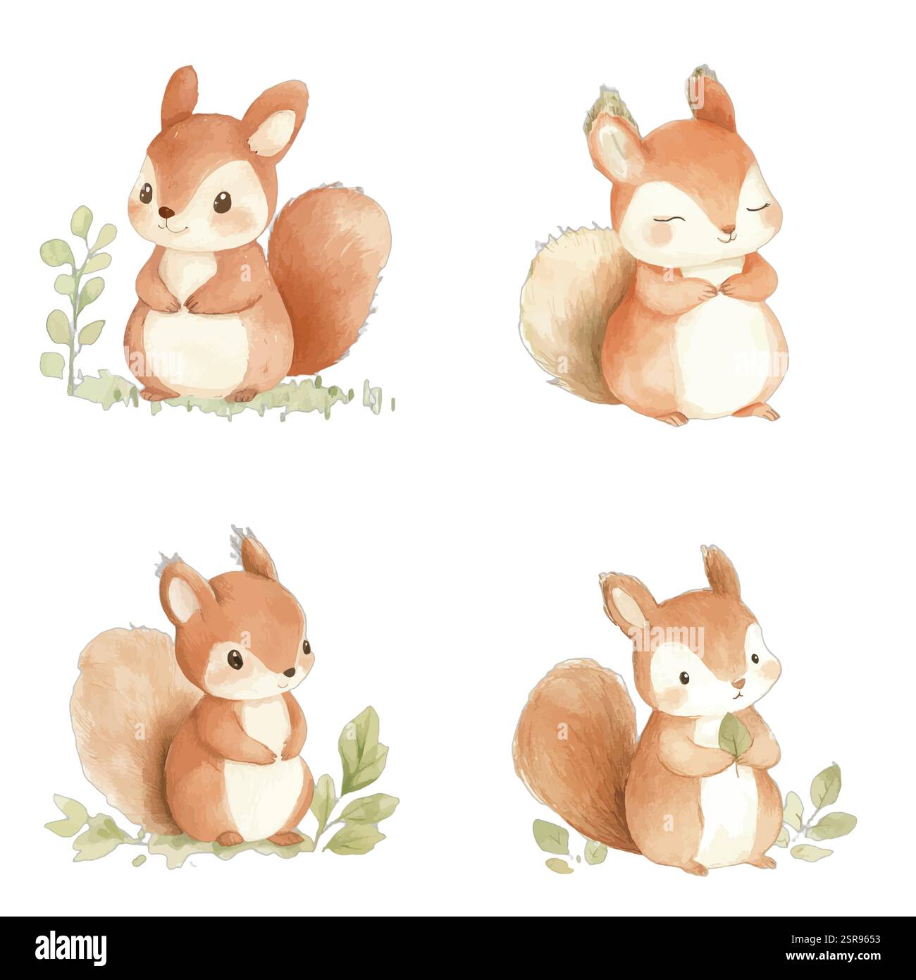 A handdrawn watercolor illustration of Squirrel Watercolor Illustration ...